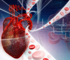 Cardio Shield Reviews - Warning! Don't Buy Until You Read This!