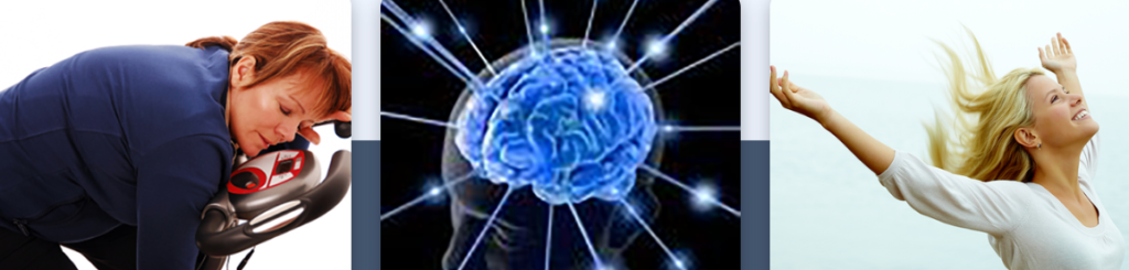 JayLab Pro Adapt6 Reviews - Don't Buy Until You Read This!