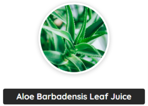 Aloe Barbadensis Leaf Juice | Nuvectra Medical