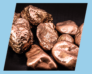 PrimeGENIX Bone Complex Reviews - Don't Buy Until You Read This!